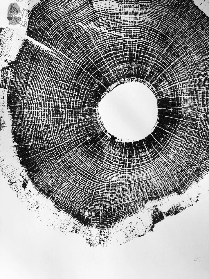 Explore Tree Ring Prints: Nature's History in Rings – Page 2 – lintonart