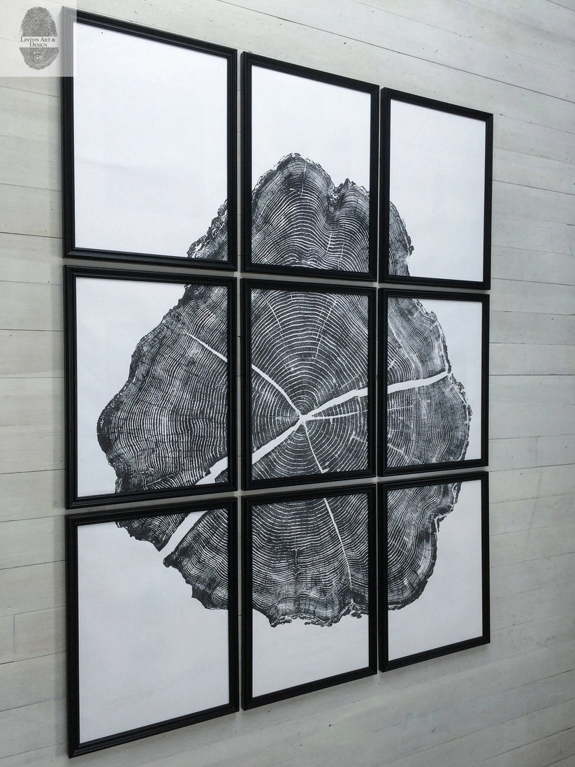 Stunning Set of 9 prints, tree Ring Prints for Your Walls – lintonart