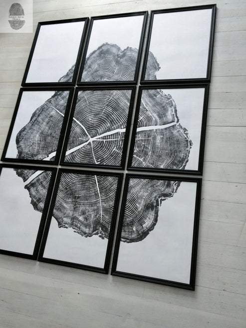 Stunning Set of 9 prints, tree Ring Prints for Your Walls – lintonart